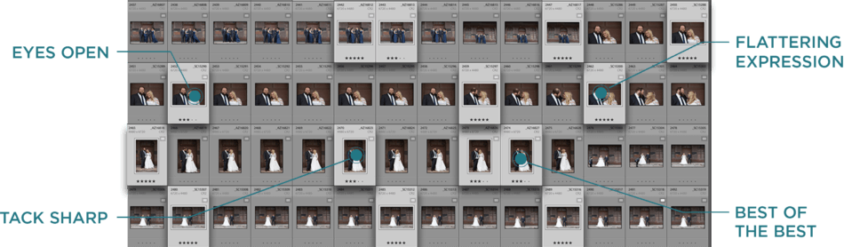 Selection Services - Evolve Edits