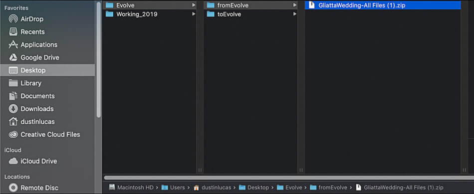 How to Download Files From Evolve - Evolve Edits