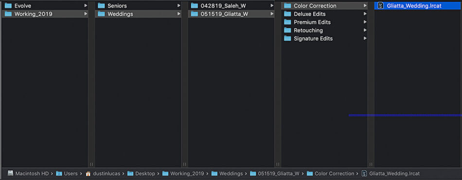 How to Download Files From Evolve - Evolve Edits