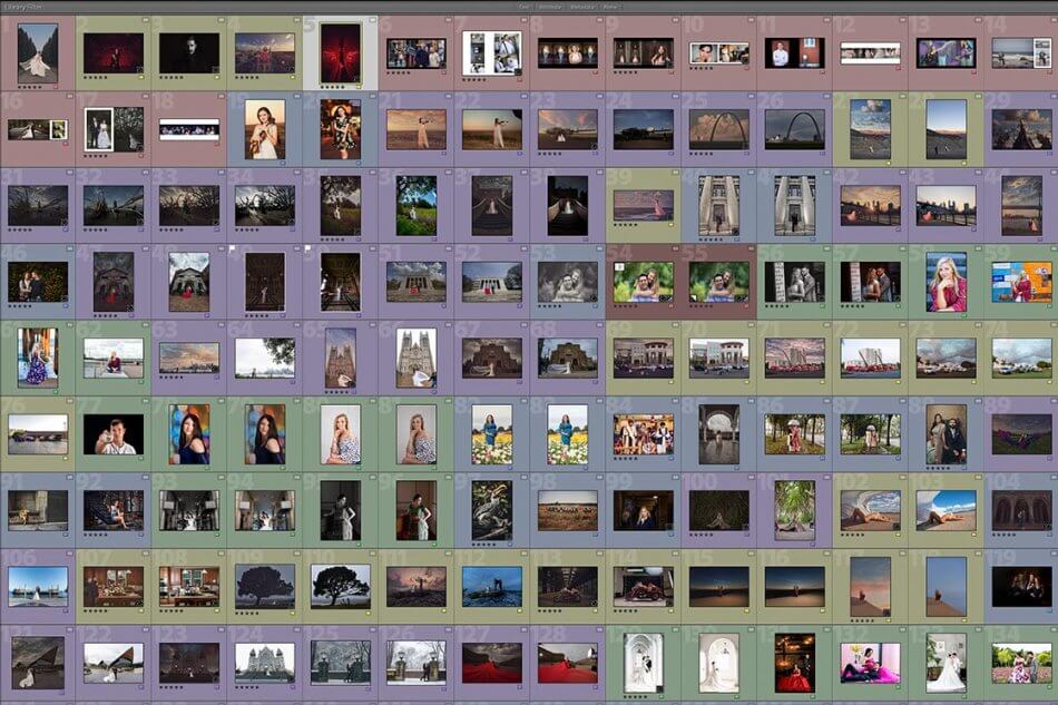 Selection Services - Evolve Edits